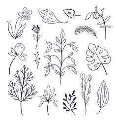 Floral set Royalty Free Vector Image - VectorStock