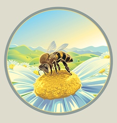 Pollen Vector Images (over 6,500)