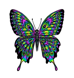 Rainbow Butterfly Vector Images (over 3,600)
