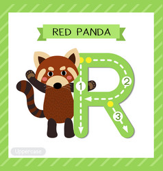 Letter r uppercase tracing red knee tarantula Vector Image