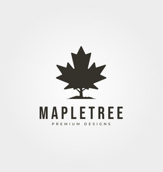 Maple Tree Logo Vector Images (over 3,500)