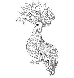 Coloring page with Hummingbird zentangle flying Vector Image