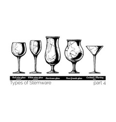 Stemware types Royalty Free Vector Image - VectorStock