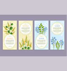 Sandalwood and olibanum set Royalty Free Vector Image