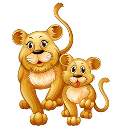 Lion Cub Vector Images (over 1,300)