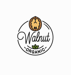 Hazelnut logo design template fresh walnut Vector Image