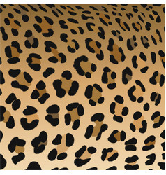 Leopard pattern print background seamless Vector Image