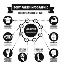 Body parts infographic concept flat style Vector Image