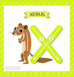 Letter x uppercase tracing xenarthra Royalty Free Vector