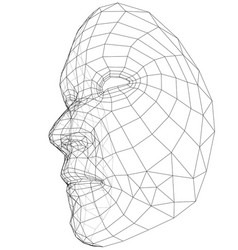 Wire-frame abstract human face Royalty Free Vector Image