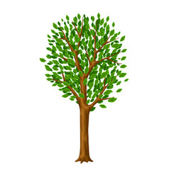 Spring or summer stylized tree with green leaves Vector Image