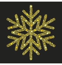 Glitter gold snowflake on transparent background Vector Image