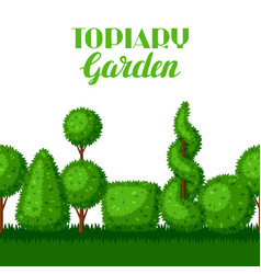 Boxwood topiary garden plants seamless border Vector Image
