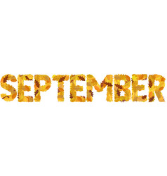 September Word Vector Images (over 1,500)