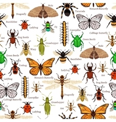 Insects sketch seamless pattern monochrome Vector Image