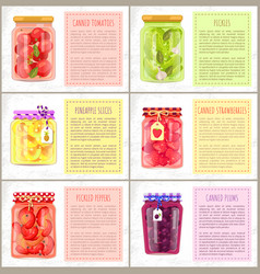 Fruit and vegetables conserve and preserve set Vector Image