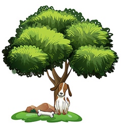 Dog under tree Royalty Free Vector Image - VectorStock