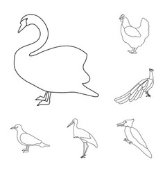 Types birds outline icons in set collection Vector Image