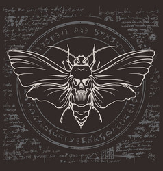Mole acherontia atropos with old magic symbols Vector Image