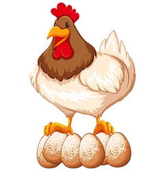 Diagram showing parts of chicken Royalty Free Vector Image