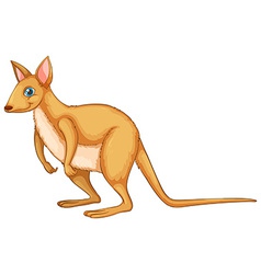 Wallaby Cartoon Vector Images (over 720)