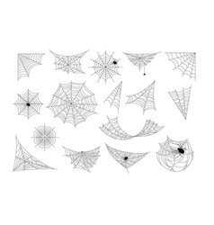 Spider web halloween symbol cobweb decoration Vector Image