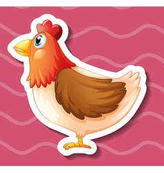 Chicken cartoon Royalty Free Vector Image - VectorStock