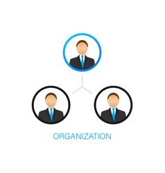 Organization chart organizational structure Vector Image