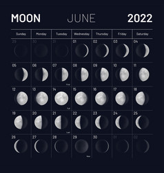 Moon phases calendar Royalty Free Vector Image