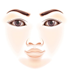 Human face Royalty Free Vector Image - VectorStock