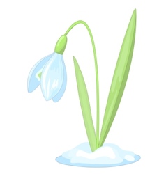 Snowdrop Vector Images (over 3,300)