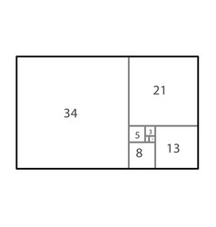 Golden ratio template golden spiral divine Vector Image