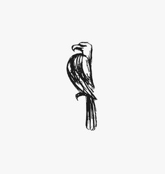 Flying Bird Stick Figure Vector Images (22)