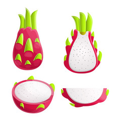 Pitaya pattern set cartoon style Royalty Free Vector Image