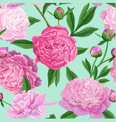 Floral seamless pattern with pink peony flowers Vector Image