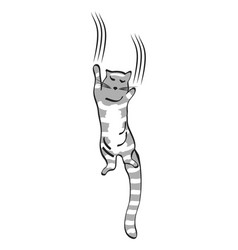 Cat Scratch Vector Images (over 890)