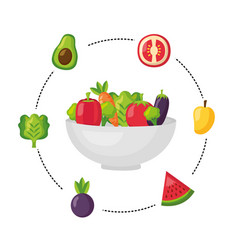 Fruits plate dinner bowl dish fruit lunch Vector Image