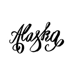 Usa states name phrase brush calligraphy Vector Image