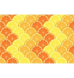 Fresh colorful citrus fruits seamless pattern Vector Image