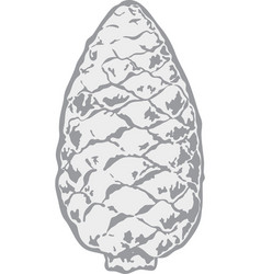 Spruce forest logo Royalty Free Vector Image - VectorStock