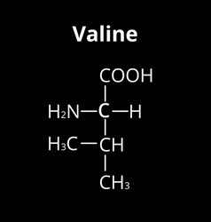 Valine amino acid chemical molecular formula Vector Image