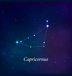 Capricorn constellation Royalty Free Vector Image