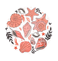 Shell cartoon isolated Royalty Free Vector Image