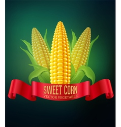Realistic corn with ribbon Royalty Free Vector Image