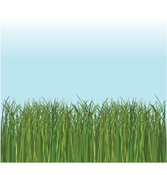 Green grass Royalty Free Vector Image - VectorStock
