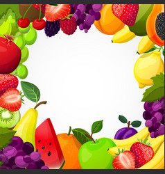 Red fruits and berries frame Royalty Free Vector Image