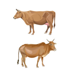 Silhouette of a standing cow Royalty Free Vector Image