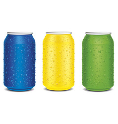 Beer can design template label and package Vector Image