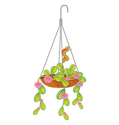 A hanging green plant Royalty Free Vector Image