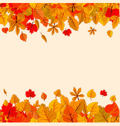 Realistic autumn leaves fall orange wood foliage Vector Image